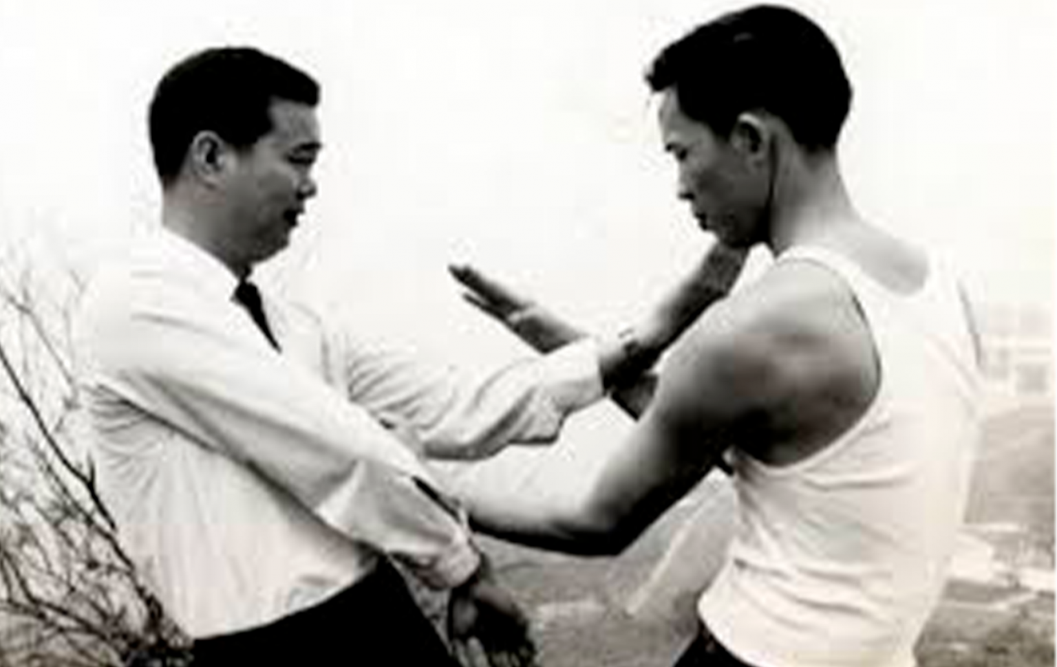 Leung Ting: The story of a legendary lineage - Wing chun Hospitalet