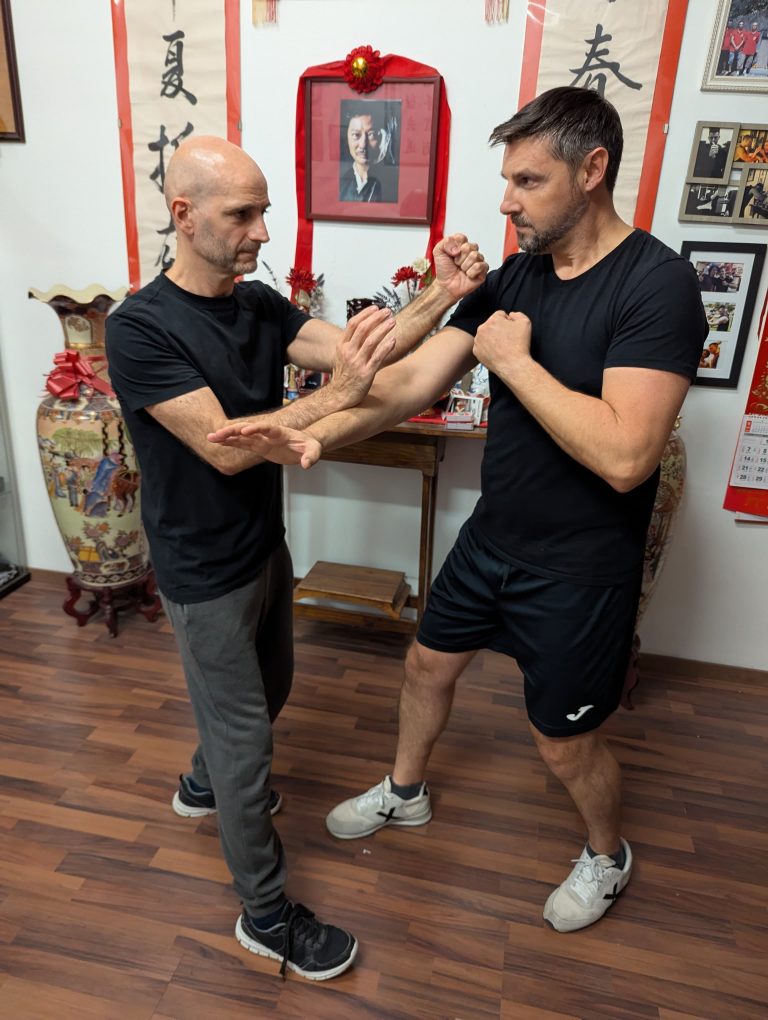Glossary of Wing Chun techniques and movements - Wing Chun Hospitalet