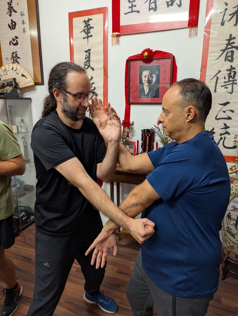 Glossary of Wing Chun techniques and movements - Wing Chun Hospitalet