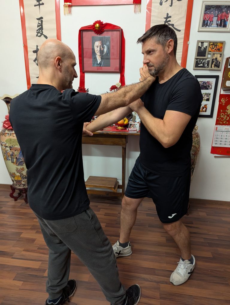 Glossary of Wing Chun techniques and movements - Wing Chun Hospitalet