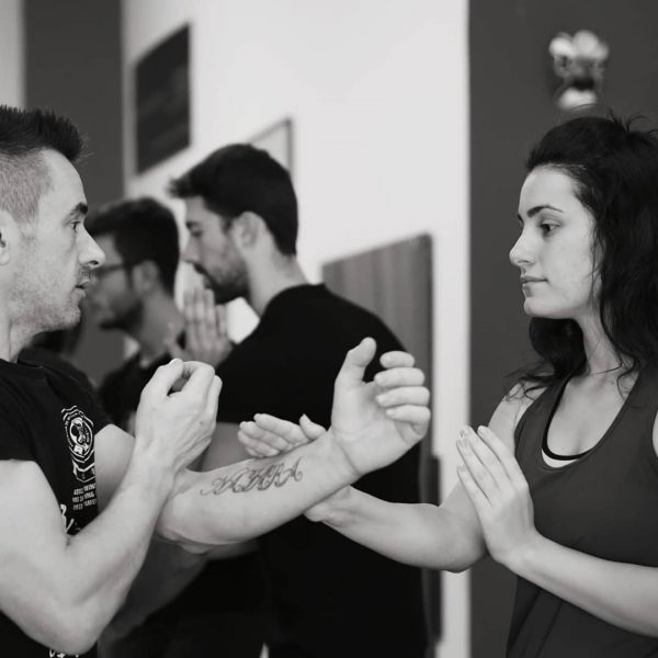 The different lines of Wing Chun - Wing Chun Hospitalet