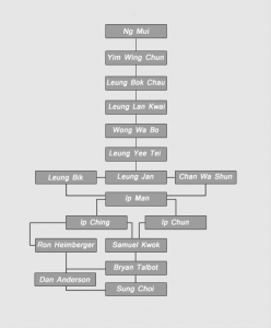 The different lines of Wing Chun - Wing Chun Hospitalet