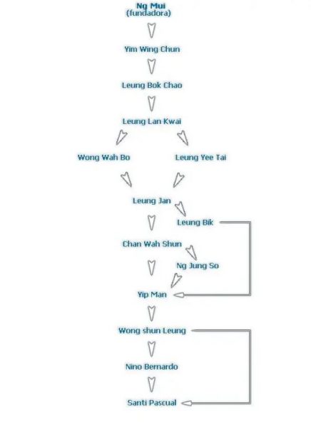 The different lines of Wing Chun - Wing Chun Hospitalet